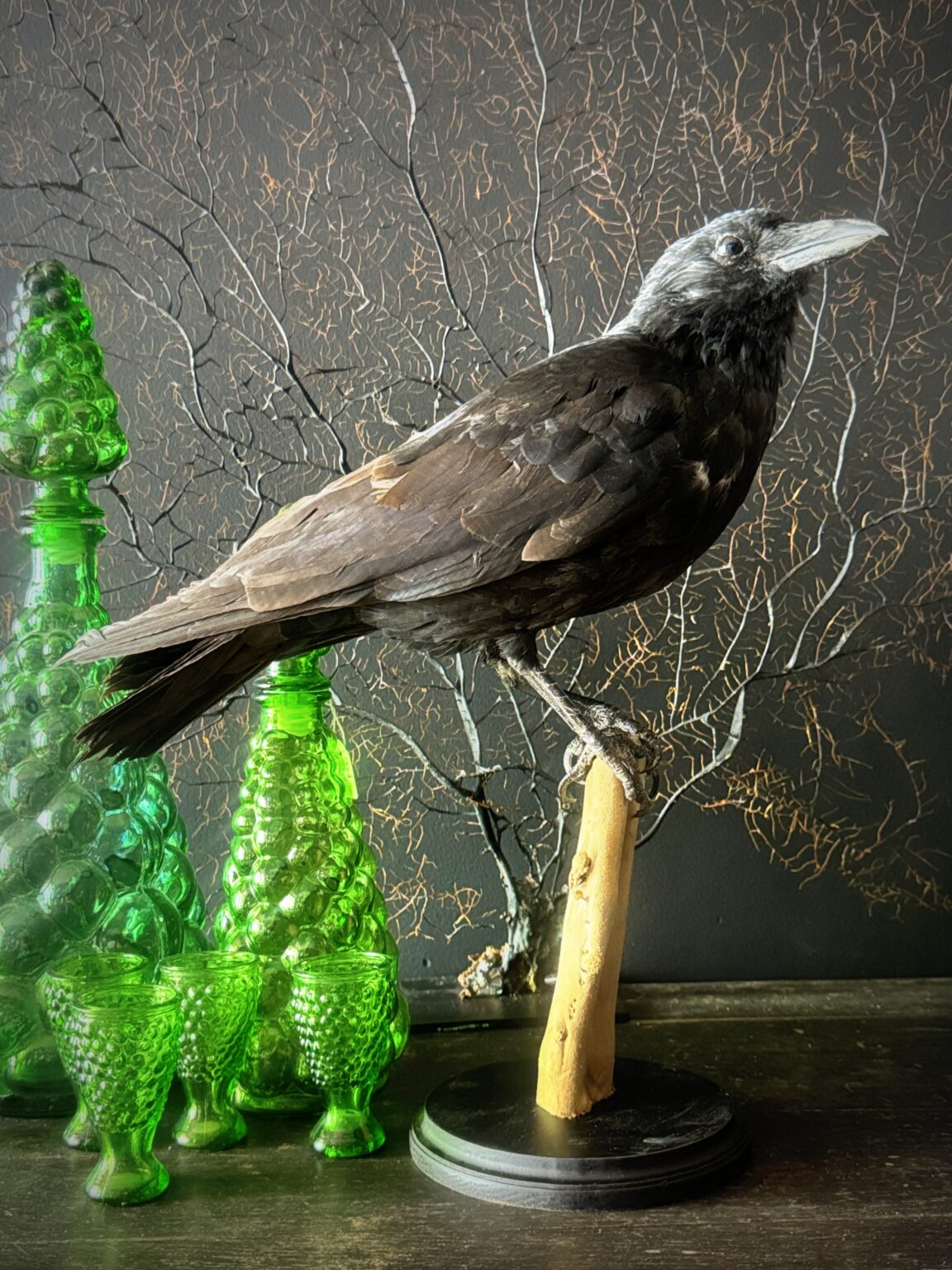 Mounted crow - BEAST Interiors